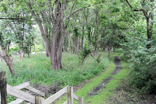 Nahant Marsh Education Center