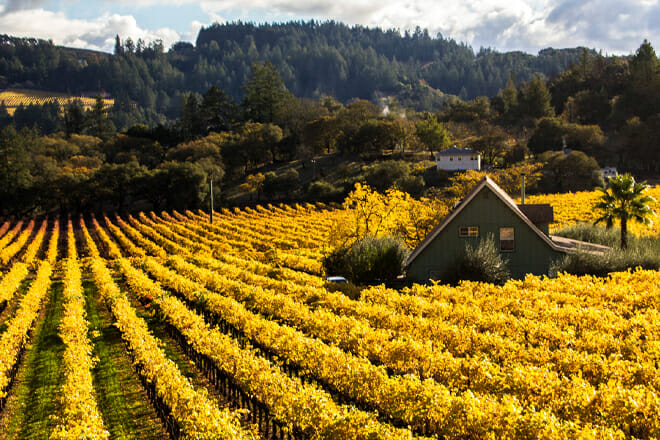 Napa Valley &mdash; California