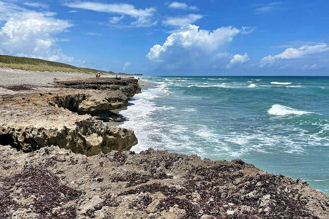 Nature Conservancy&rsquo;s Blowing Rocks Preserve