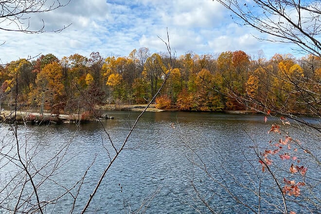 Nelson Ledges Quarry Park