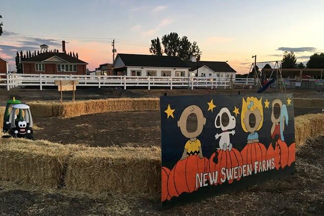 New Sweden Farms