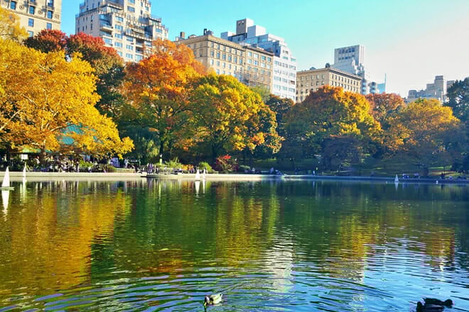 New York City, New York