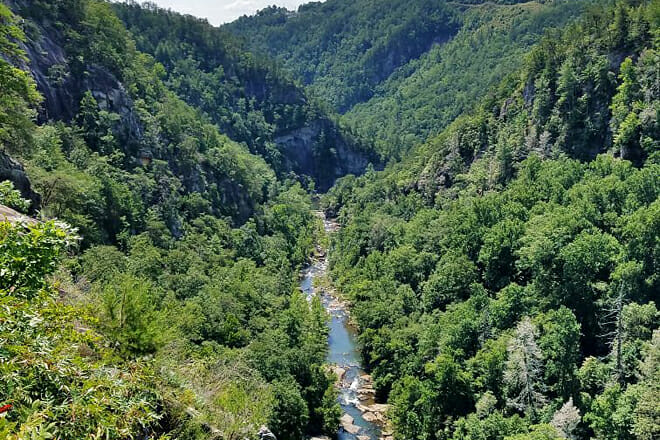 North Georgia Mountains