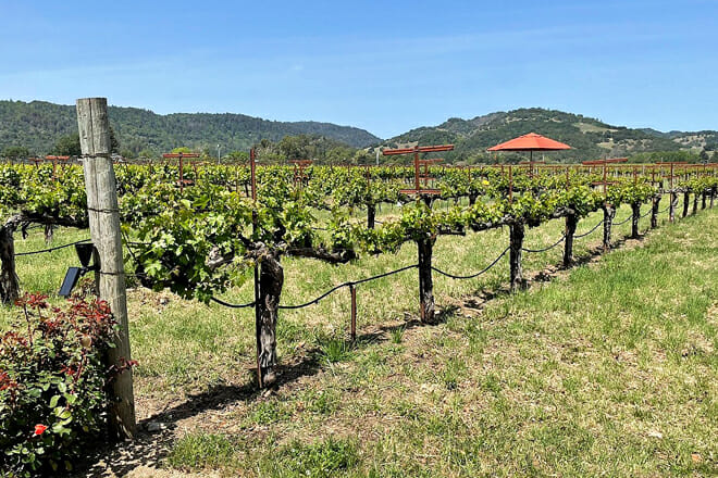 O'Brien Estate Winery