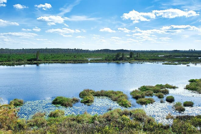 Okefenokee National Wildlife Refuge