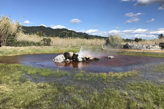 Old Faithful Geyser of California