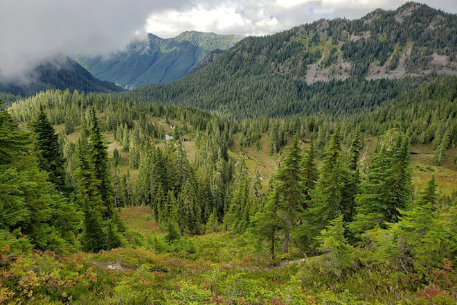 Olympic National Park