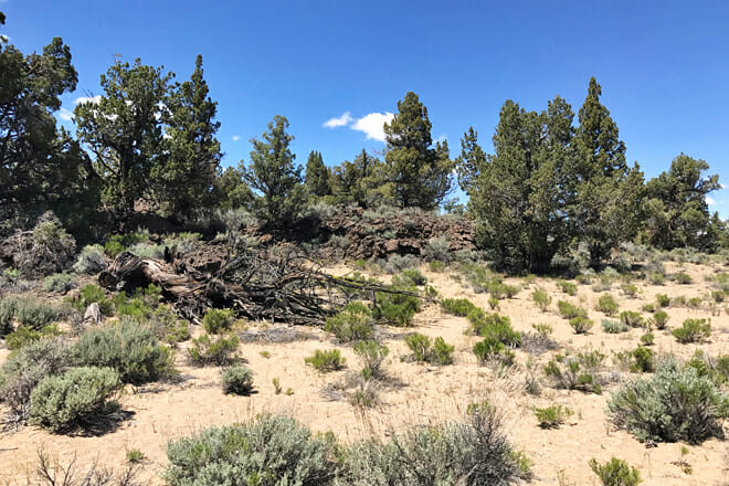 Oregon Badlands Wilderness Area