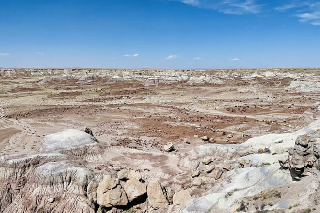 Petrified Forest National Park