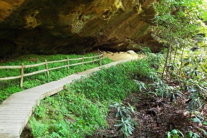 Pickett State Park, Tennessee