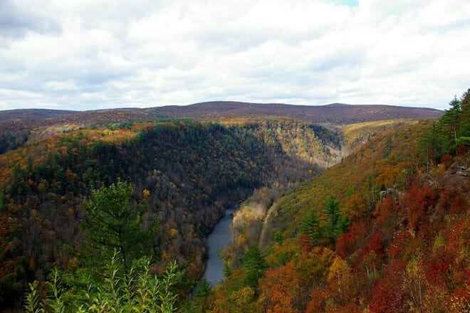 Pine Creek Gorge