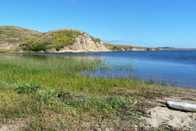 point reyes and tomales bay