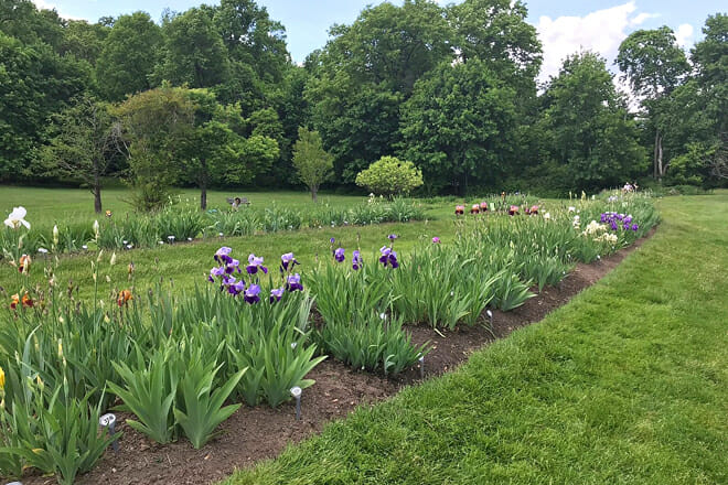 Presby Memorial Iris Gardens