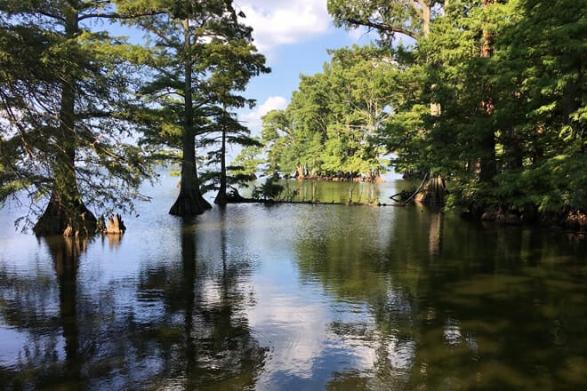 reelfoot lake