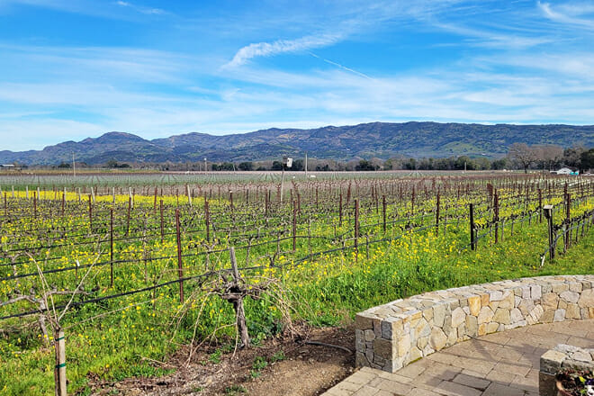 Robert Biale Vineyards