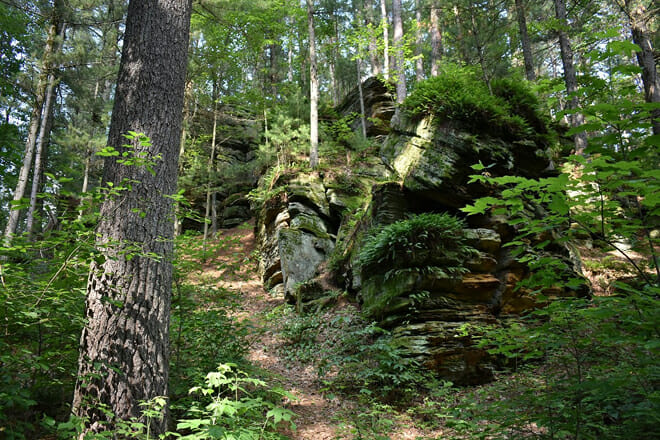 Rocky Arbor State Park