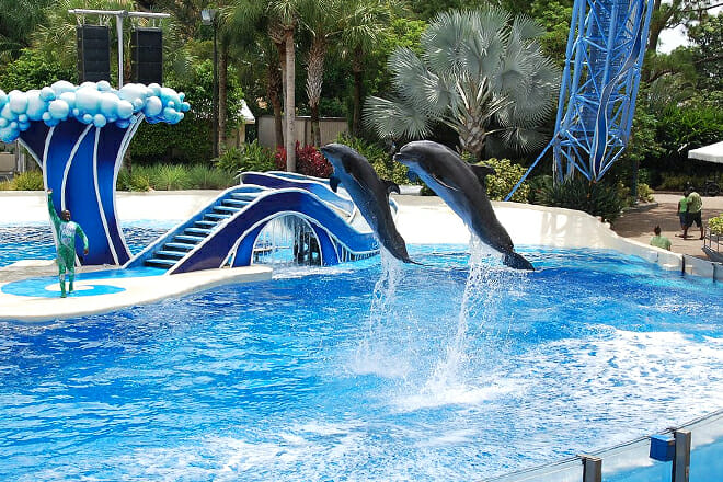 SeaWorld Orlando