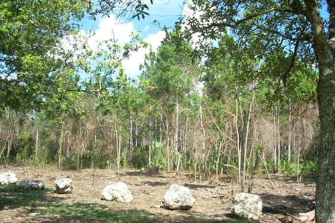 Seminole Wayside Park