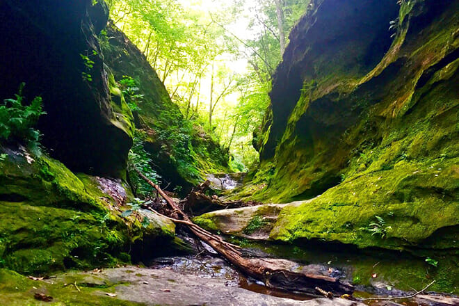 Shawnee National Forest, Illinois