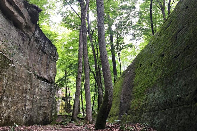 Shawnee National Forest