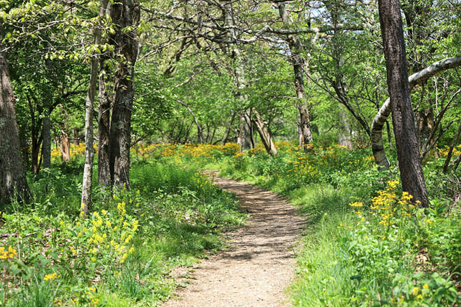 Shenandoah National Park