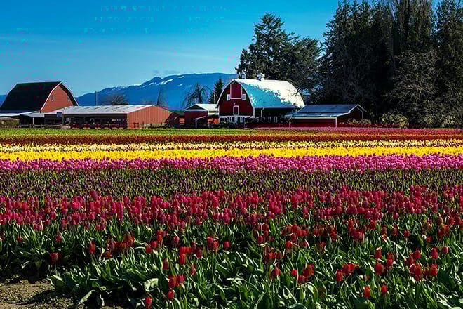 Skagit Valley &ndash; Washington