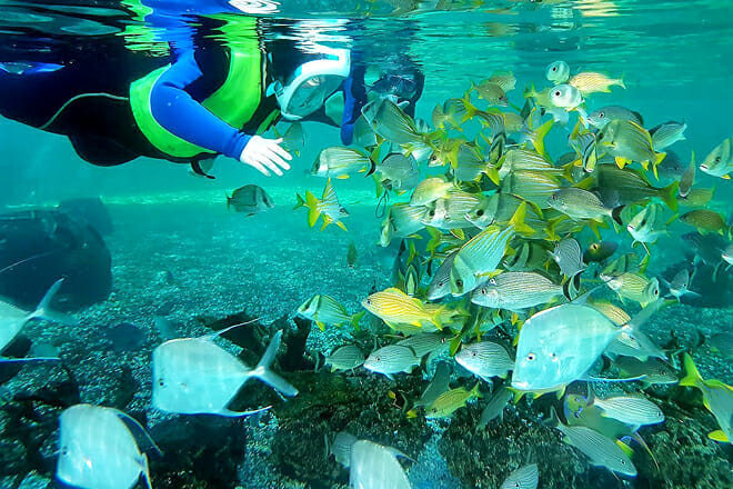 St. Augustine Aquarium &mdash; St. Augustine