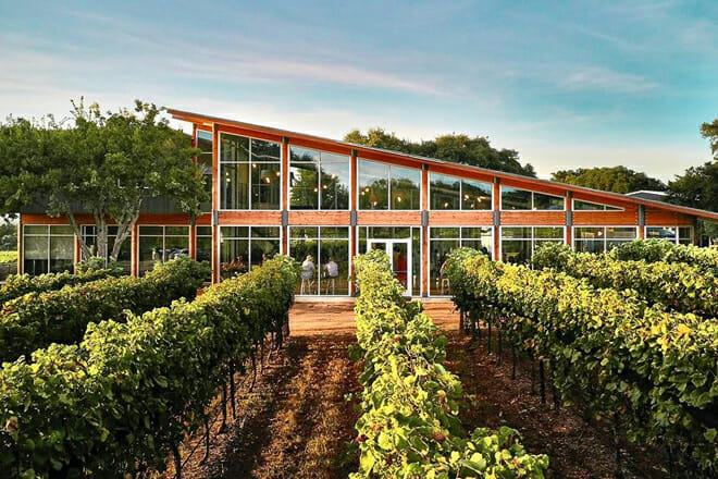 Texas Hill Country Wineries