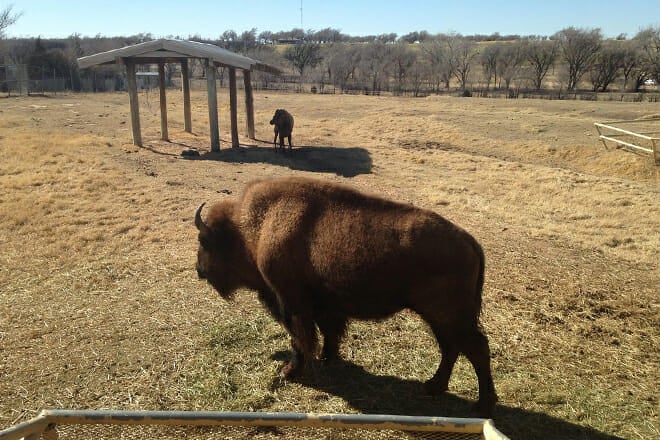 Texas Panhandle &ndash; Texas