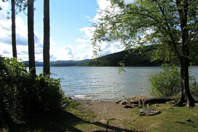The Allegheny National Forest