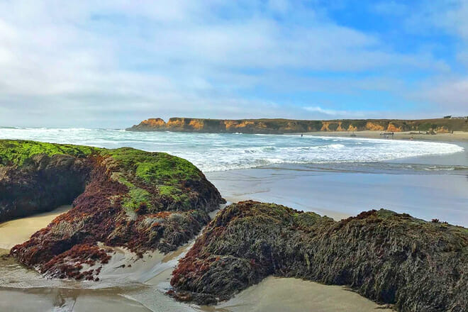 The Mendocino Coast