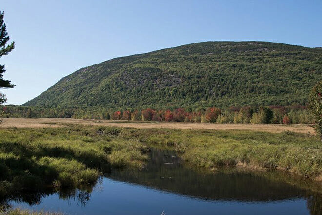 The Natural History Center