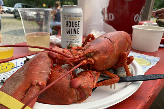 The Travelin Lobster