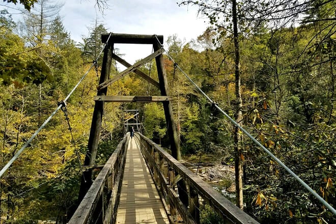 Toccoa River Swinging Bridge