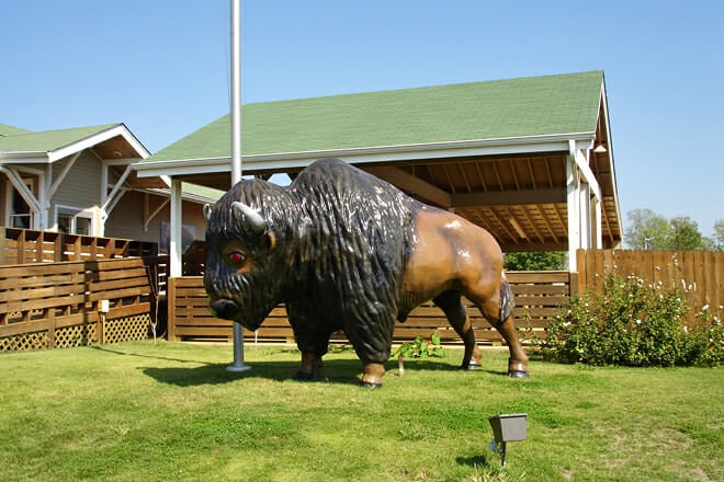 Tupelo Buffalo Park & Zoo