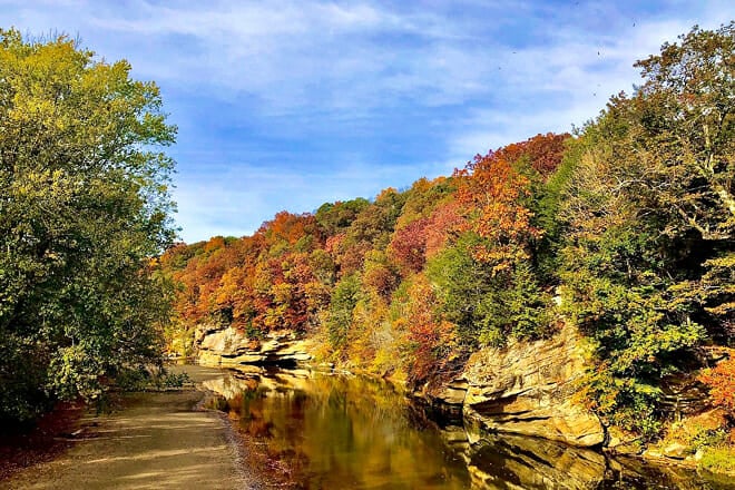 Turkey Run State Park