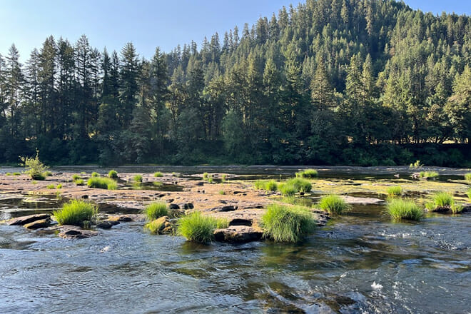 Umpqua National Forest