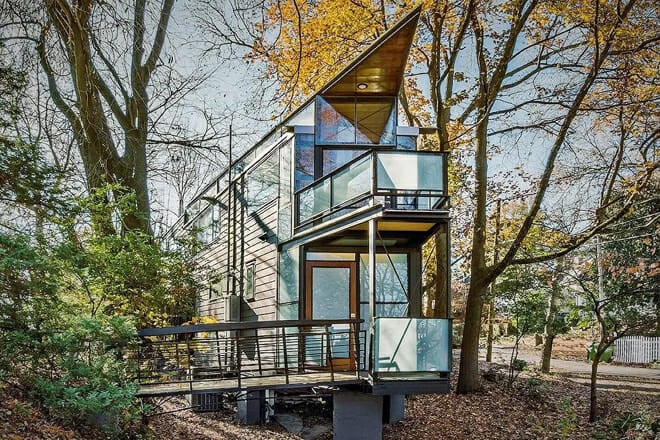 urban glass tree house