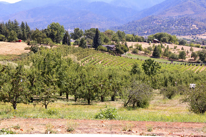 Valley View Orchards (Formerly Wagner Orchards)