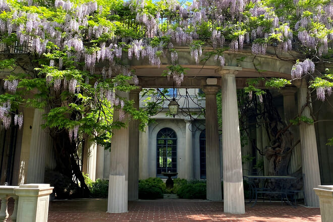 Van Vleck House & Gardens