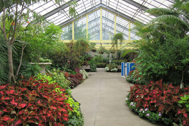 Vander Veer Botanical Park