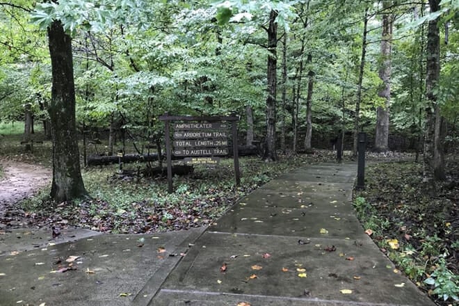 Village Creek State Park