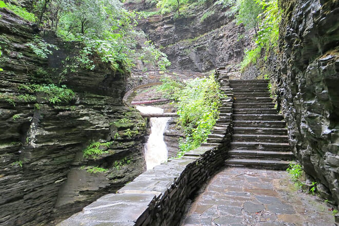 Watkins Glen