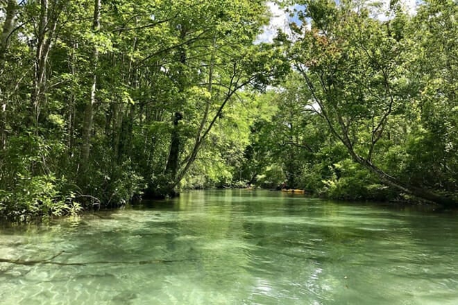 Weeki Wachee Springs State Park