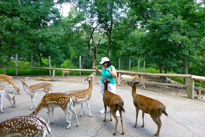 Wisconsin Deer Park
