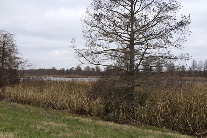 Yazoo National Wildlife Refuge