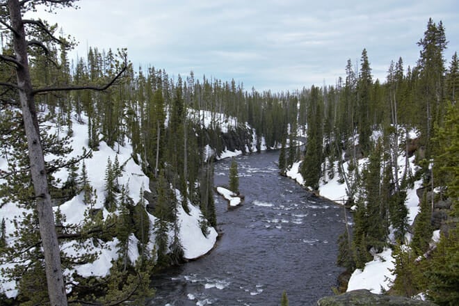 Yellowstone National Park, Wyoming