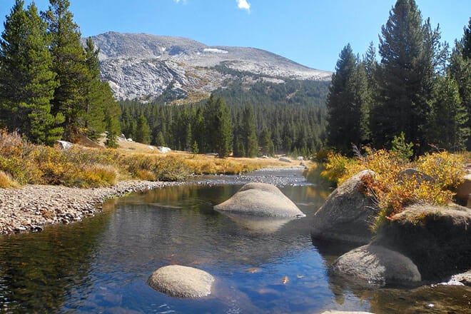 Yosemite National Park, California