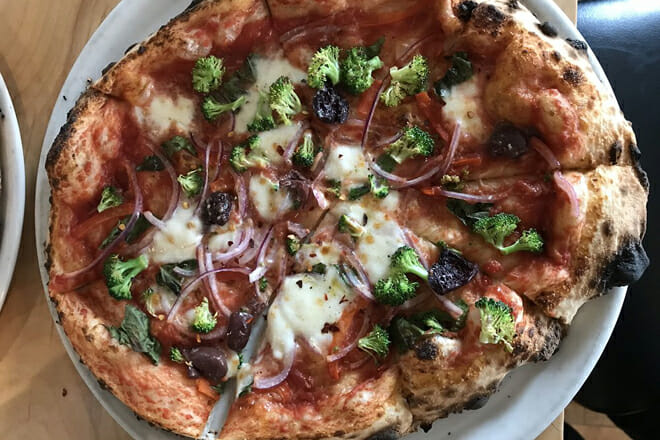 Anodyne Coffee Roasting Co.