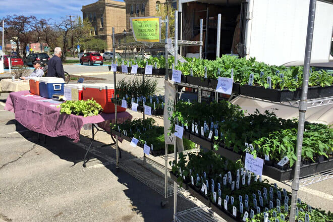 Bangor Farmers&rsquo; Market